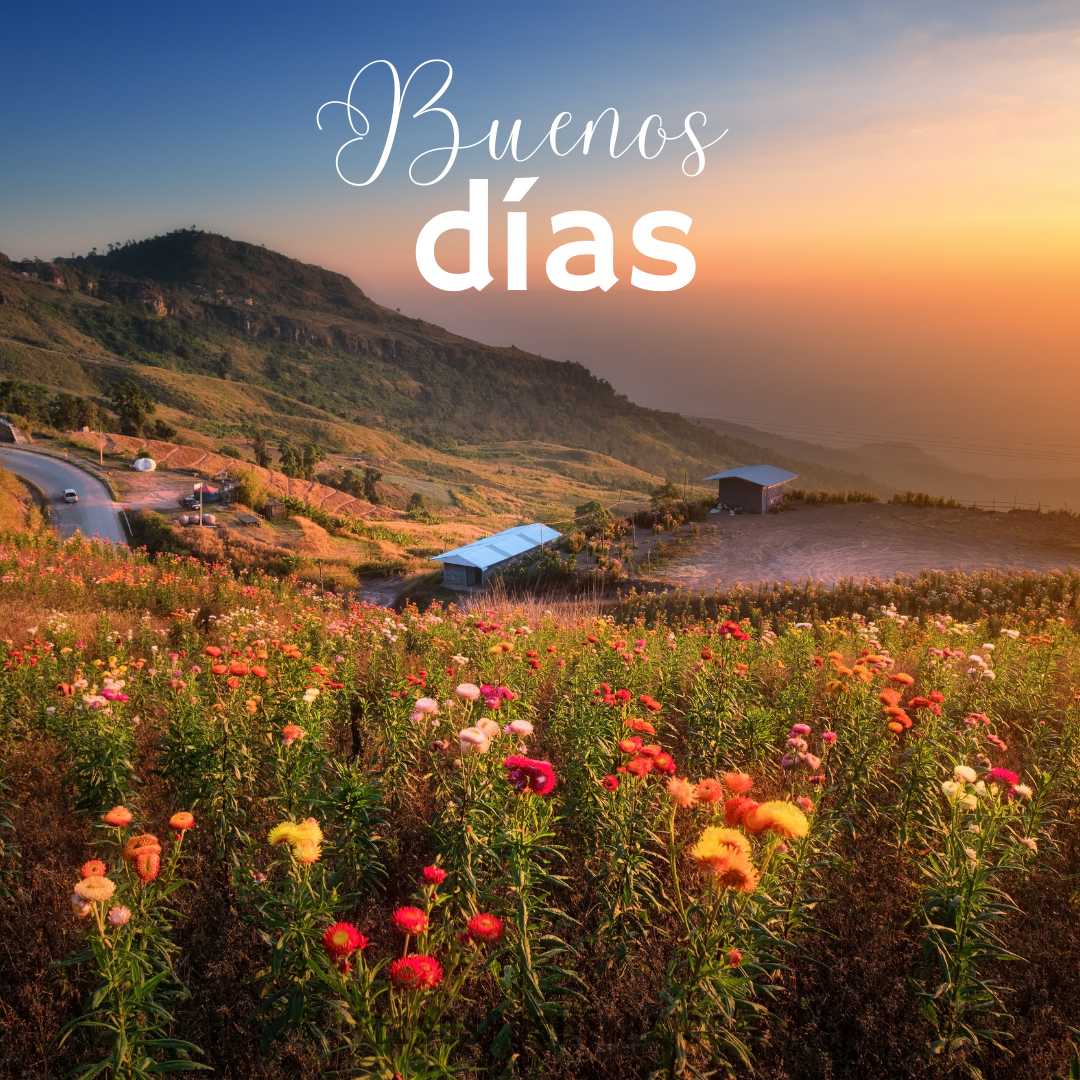150+ IMÁGENES DE BUENOS DÍAS ☀️😎🌻 con FRASES para alegrarte el día